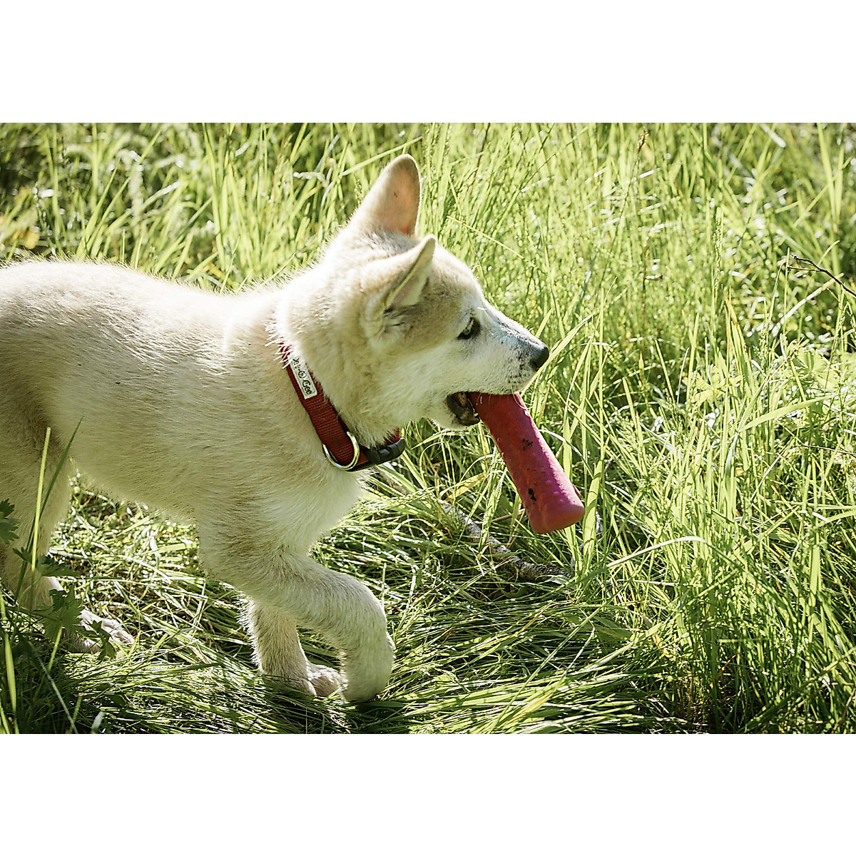Wo Bone Dog Toy Cranberry Small