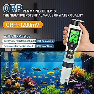 Hydrogen Water Tester 4 in 1 PH,H2,ORP&Temp,pH Meter ORP Meter Hydrogen Tester for Water with ATC & Backlight,Accurate Hydrogen Water ppb/ppm Meter,Water Testing Kits for Drinking Water Quality