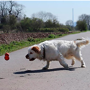 Chuckit! Ultra Tumbler Dog Fetch Toy