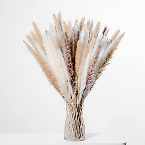 MnS Glam 75 Pc Natural Dried Pampas Grass-25 Pc Cream White Pampas/ 30 Pc Brown Pampass/ 20 Pc Beige Pompus Reed Grass 17.5" Fluffy Stems Dry Pompous Bouquets for Home Decor Wedding Flower Arrangement