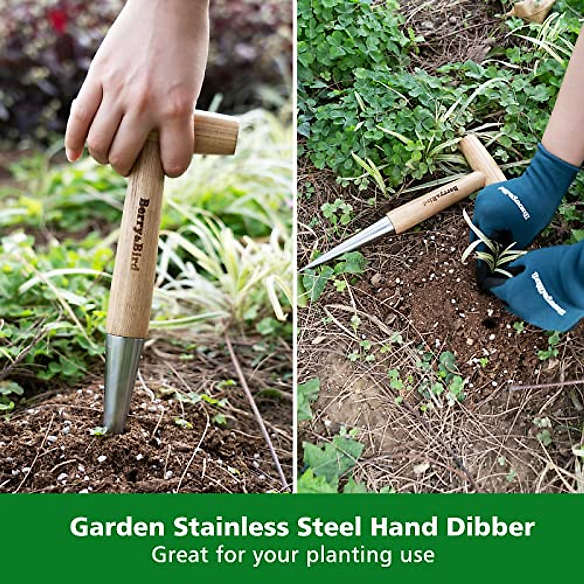Berry&Bird Hand Dibber, Stainless Steel Sow Dibbler with Wood Handle, Garden Hole Punch Dibbler Tool for Planting Seeds & Bulbs, Hand Held Bulb Planter for Planting Flowers Tulips, Daffodils, Dahlias