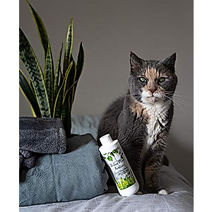 Indoor Plant Food | All-purpose House Plant Fertilizer | Liquid Common Houseplant Fertilizers for Potted Planting Soil | by Aquatic Arts