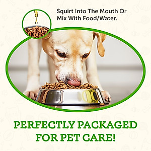 Animal Essentials Senior Support Supplement Dogs and Cats, 1 fl oz - Made in USA Physical and Mental Well-Being