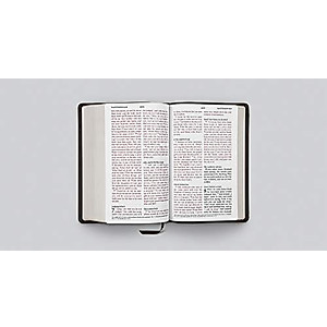 ESV Large Print Personal Size Bible (Buffalo Leather, Deep Brown)