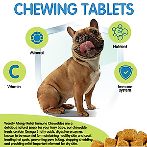 Dog Allergy Relief Chews for All Ages All Breeds - cgify 120 Soft Chews for Dog Itch Relief, Immune Chews, Skin & Coat Supplement, Omega 3 Fish Oil Probiotics for Dogs (Chicken Flavored)