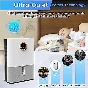 PTHRAOUTA dehumidifier for basement bathroom RV home closet indoor indoor 33.8 oz water tank（800 sq.ft） small dehumidifiers safe mini drainage auto-off odor removal 2 duak-core portable dehumidifier 5 colorful lights remove moisture quite silent car deh