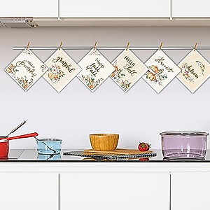 6pc Fall Pumpkins Swedish Dishcloths Thanksgivings Kitchen Dish Towels Happy Harvest Kitchen Towels Fall Leaves Pumpkin Hand Towels Give Thanks Kitchen Supplies Pumpkin Floral Bathroom Decorations