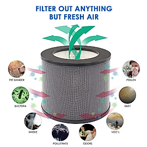 Flintar 2-Pack AP006 H13 True HEPA Replacement Filter, Compatible with TaoTronics TT-AP006 Air Purifier, 3-in-1 Pre-Filter, H13 Grade True HEPA and Activated Carbon Filter Set