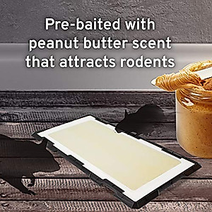 Victor M776 Hold-Fast Rat Refillable Mouse Glue Trap, 1 Pack, White