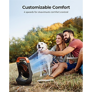 20000mAh Camping Fan with LED Lantern, 8 Inch Portable Tent Fan with 4 Speeds, Rechargeable Battery Fan for Fishing, Outdoor, Hurricane