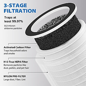 True HEPA Max Filter Replacement Compatible with Afloia MAX, MAGE, MAGE PRO Air Cleaner Purifier and Honati MAX AP2202I and Sans Large room Air Cleaner Cleaner Purifiers, 2 Pack