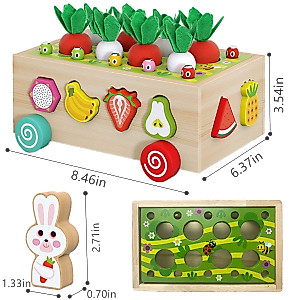 Rexinc Montessori Toys for 1,2,3,4 Year Old Toddlers Boys and Girls,Gifts for 2 Year Old Girls Wooden Educational Sorting Toys,Preschool Learning Gift Carrots Harvest Game Fine Motor Skill