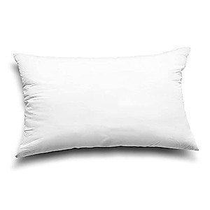 EDOW Throw Pillow Inserts, Set of 2 Lightweight Down Alternative Polyester Pillow, Couch Cushion, Sham Stuffer, Machine Washable. (White, 12x20)