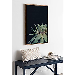 Kate and Laurel Sylvie Succulent Plant Framed Canvas Wall Art, Botanical Green with Black Background, 23x33 Gold