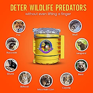 Foxlights Night Predator Deterrent, Predator Control Light, Protect Crops, Orchards & Livestock 360° Flashing LED Light, Used by Professional Ranchers & Farmers, See Solar Model - Môpet Marketplace