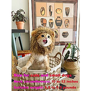 RosyLife Lion Mane Wig for Cat Costume Pet Adjustable Washable Comfortable Fancy Lion Hair Cat Clothes Dress for Halloween Christmas Easter Festival Party Activity (Brown)