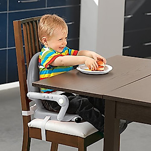 Chicco Pocket Snack Booster Seat, Grey