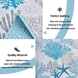 Tritard 3 Piece Coastal Quilt Sets Full/Queen Size - Reversible Microfiber Quilts with 2 Shams Soft Lightweight Beach Bedding Nautical Bedspread Coverlet Summer Comforter for All Season, 90''x96'', C1