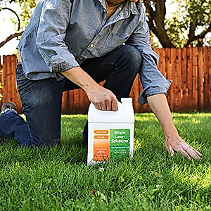Simple Lawn Solutions - High Potassium Lawn Food Liquid Fertilizer 0-0-25 - Concentrated Spray - Turf Grass Vigor and Plant Hardiness - Summer and Fall - Any Grass Type (1 Gallon)
