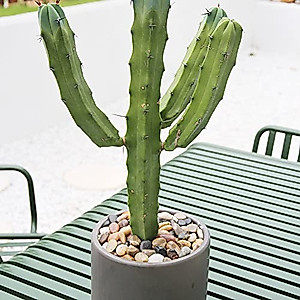 Yousonew 10lbs 100% Natural River Rock Stones,Garden Adornment Stones,Pebbles Polished Gravel for Plants,Vases,Aquariums,Succulents, Home Decor. (10LBS)