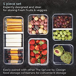 iDesign Plastic Refrigerator Organizer Bin Set The Spruce Fridge Binz, Set of 5, Clear/Matte White, 5 Count