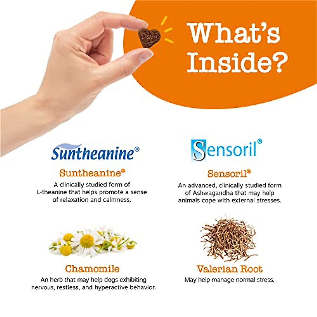 Zesty Paws Calming Chews for Dogs - Composure & Relaxation for Everyday Stress & Separation - with Ashwagandha, Organic Chamomile, L-Theanine & L-Tryptophan – Turkey - 90 Count