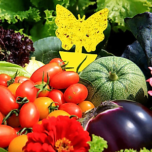 ALLRoad 24 pcs Fruit Fly Trap, Gnat Killer Dual-Sided Yellow Sticky Traps for Kitchen Indoor/Outdoor Use - Insect Catcher for White Flies, Mosquitos, Flying Insects, Fungus Gnats