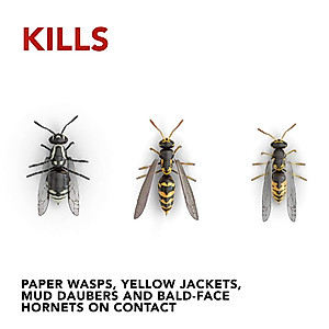 Raid Wasp & Hornet Killer Spray (14 Ounce (Pack of 3)