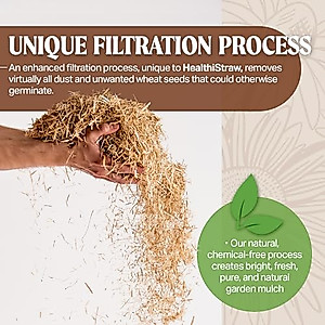 HealthiStraw GardenStraw, 3 cu ft, All-Natural Mulch for Vibrant Gardens, Vegetables Lawn Seeding - Water-Conserving, Weed-Suppressing Wheat Straw - Sustainably Sourced, Thoroughly Cleaned