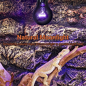 REPTI ZOO 2 Pack Reptile Heat Lamp, 75W Infrared Heat Lamp Simulate Natural Moonlight, Purple Reptile Night Heat Bulb Heat Emitter for Reptile Pets Heating Night Use