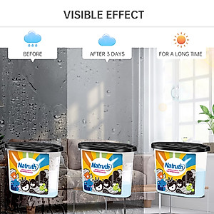 NATRUTH Moisture Absorbers with Activated Charcoal,800ml(6-Pack)*12.5 OZ Portable Closet Dehumidifier, Odor Eliminator Absorber Bucket,Humidity Absorber,Dehumidifier for Bathrooms, Kitchen & Boats