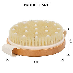 SetSail Dry Brushing Body Brush, Natural Nylon Bristles, Exfoliating, Cellulite Reduction, Lymphatic Drainage, Improve Circulation