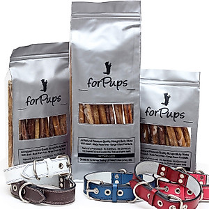 forPups Thick Bully Sticks (1 Pound - 8 Inch) (16 oz Pack) - All Natural, Grass-Fed, Non-GMO (8") (1 lb) 100% Beef Pizzle Dog Chews, Fully Digestible, Best Dental Treats
