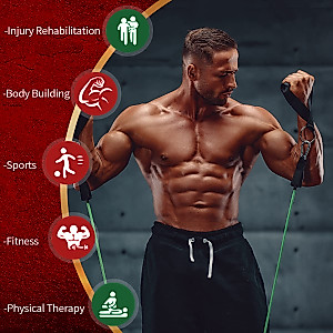 VEICK Resistance Bands, Exercise Bands, Workout Bands, Resistance Bands for Working Out with Handles for Men and Women, Exercising Bands for Strength Training Equipment at Home