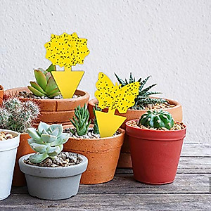 50 Pack Yellow Sticky Traps for Indoor Outdoor House Plant Flying Insect Catcher Like Fungus Gnats, Whiteflies, Aphids, Thrips, Other Flying Plant Insects