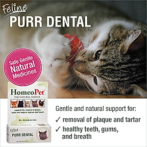 HomeoPet Feline Purr Dental, Safe and Natural Tooth and Dental Care for Cats, Cat Dental Care, 15 Milliliters