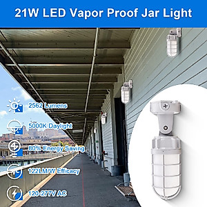 21W LED Vapor Tight Jelly Jar Light, 5000K Industrial Wall/Ceiling Mount Vapor-Proof LED Light, IP65 Wet Rated Indoor and Outdoor Vapor Proof Security Cage Lighting, 120-277VAC UL Certified
