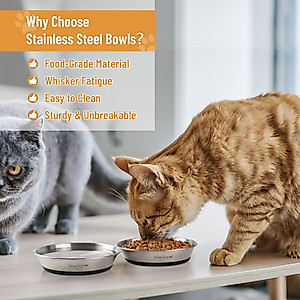 Wellbro Cat Bowls, 2 Pcs Stainless Steel Cat Bowls for Food and Water, Whisker Fatigue Shallow Non-Slip Cat Dishes Plates for Small Dog Puppies Cats