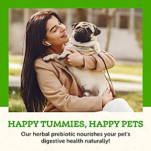 Animal Essentials Healthy Gut - Herbal Prebiotic for Dogs & Cats, Gut Health Blend, Herbal Formula, Organic Human Grade Herbs, Veterinarian Recommended, Liquid Tonic - 2 Fl Oz