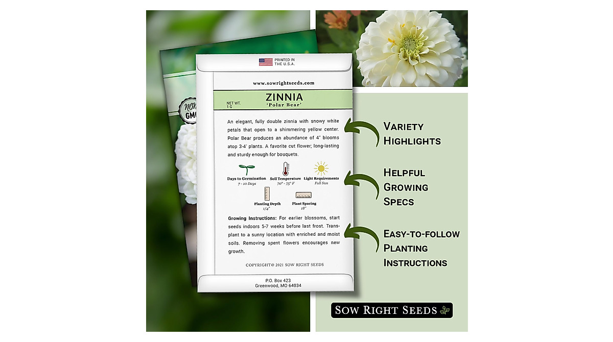 Sow Right Polar Bear Zinnia Seeds for Vibrant Gardens