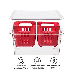 Oggi 5170 Berry Bin - Double Basket, Red