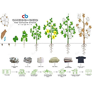 CHESS BED 100% Natural Egyptian Cotton 600 Thread Count 68x90 inch Twin/Twin XL Size White Solid Edge Ruffle Duvet Cover with Button Closure & 2pcs Pillow Case Set