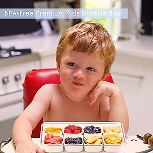 RBNN Divided Serving Tray with Lid and Handle-Snackle Box Charcuterie Container for Portable Snack Platters, 8 compartment snack container, Fruit Veggie Charcuterie Box Snack Tray for Travel Party