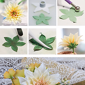 KALAIEN Dahlia Sugar Flower Veining Molds Fondant Cutters Gumpaste Cake Craft Tools(14PCS)