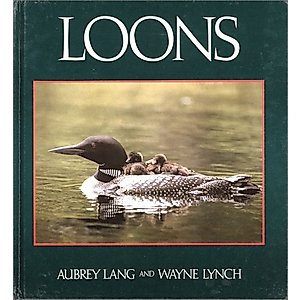 Loons