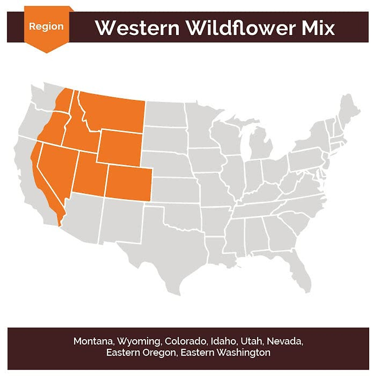 Western Wildflower Seed Mix - 1/4 Pound - Mixed Wildflower Seeds, Attracts Bees, Attracts Butterflies, Attracts Hummingbirds, Attracts Pollinators, Easy to Grow & Maintain, Cut Flower Garden