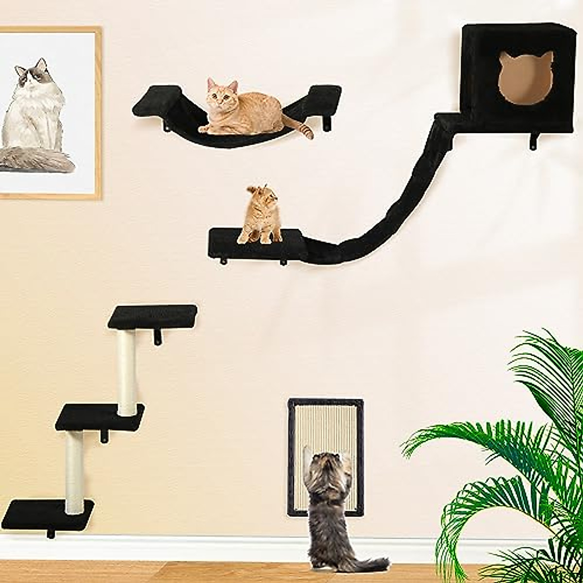 Loninak Cat Wall Furniture Set-Cat Shelves Include Hammock, Condo with Bridge, Step Scratching Post House for Indoor Mounted Tree Black