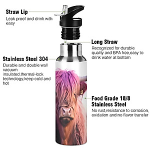 xigua Highland Cow Colorful Dyed Hair Sports Water Bottle with Straw Lid 22 oz, Leak Proof, Vacuum Insulated Stainless Steel, Double Walled, Thermo Mug, Metal Canteen