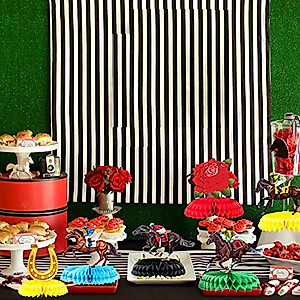 9 Pieces Kentucky Derby Honeycomb Table Centerpieces, Talk Derby to Me Run for the Roses for Horse Racing Birthday Party Supplies Derby Day Home Decor