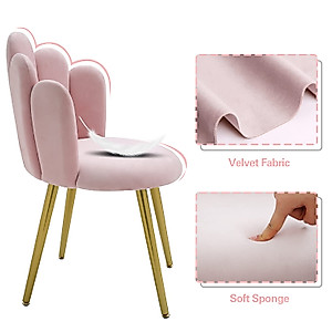 BOWTHY Vanity Chair for Makeup Room - Midcentury Modern Accent Velvet Chair with Back Support, Gold Legs for Living Room Bedroom (Pink)